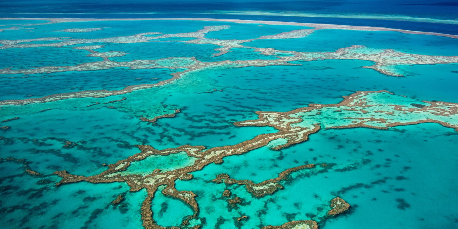 Great Barrier Reef The Largest Coral Reef Tourism In The World Great Barrier Reef The Largest Coral Reef Tourism In The World